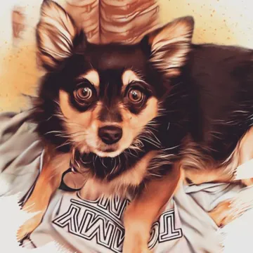 Hazzy Slinker | Join me on Suno